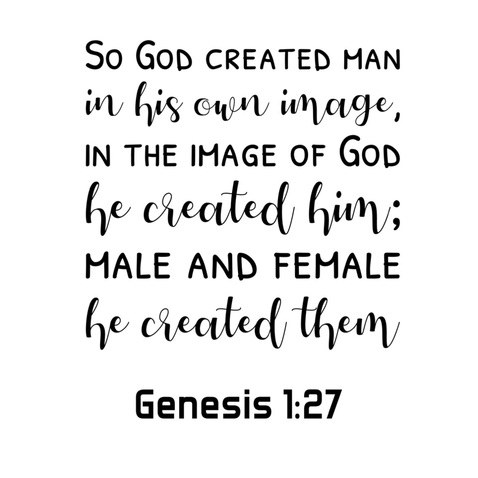 Created in His Image! – J. Mark Fox